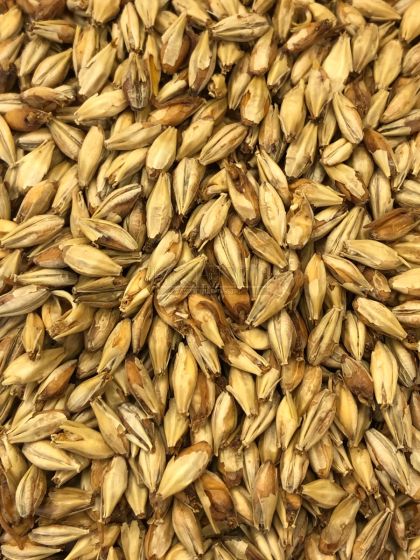 Briess American Honey Whole Kernel Malt | Best Prices. Fast Shipping.